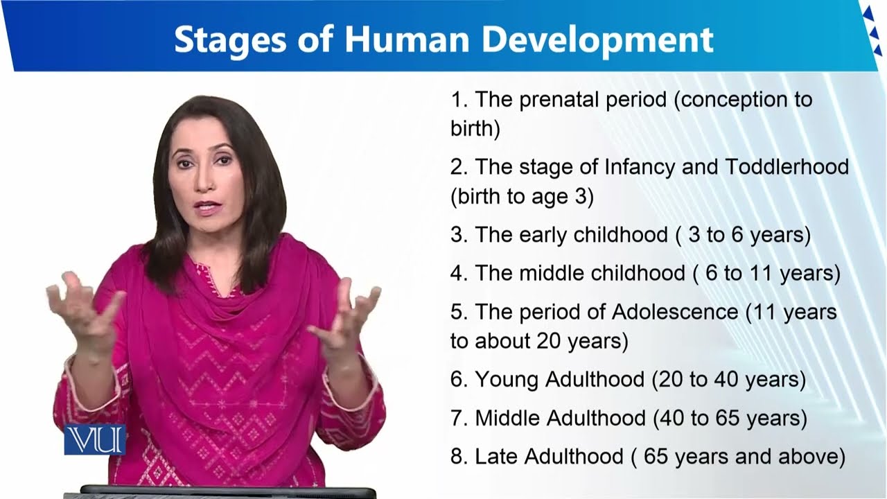 Stages Of Human Development From Birth To Adulthood