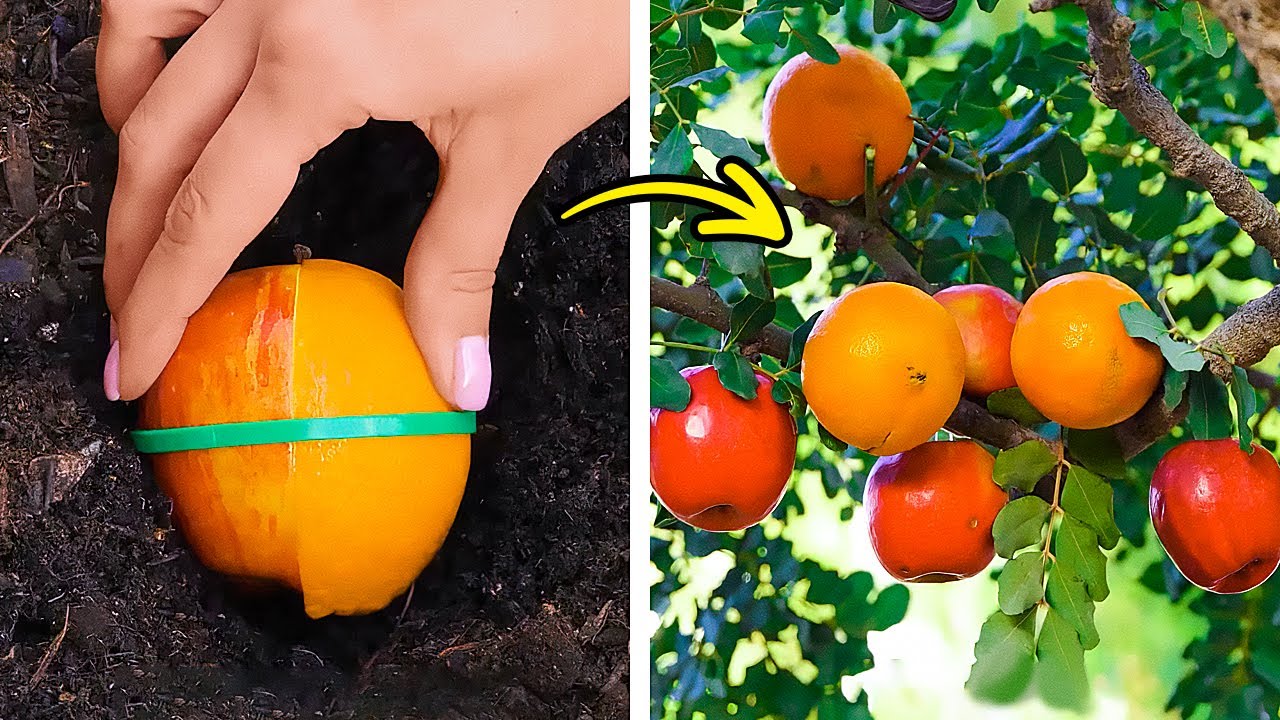 Basic Gardening Tips That Will Simplify Your Life - YouTube