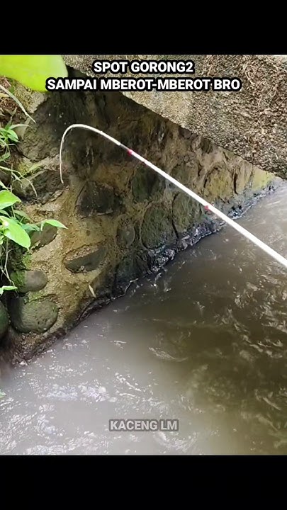 mancing di gorong gorong pinggir jalan - YouTube