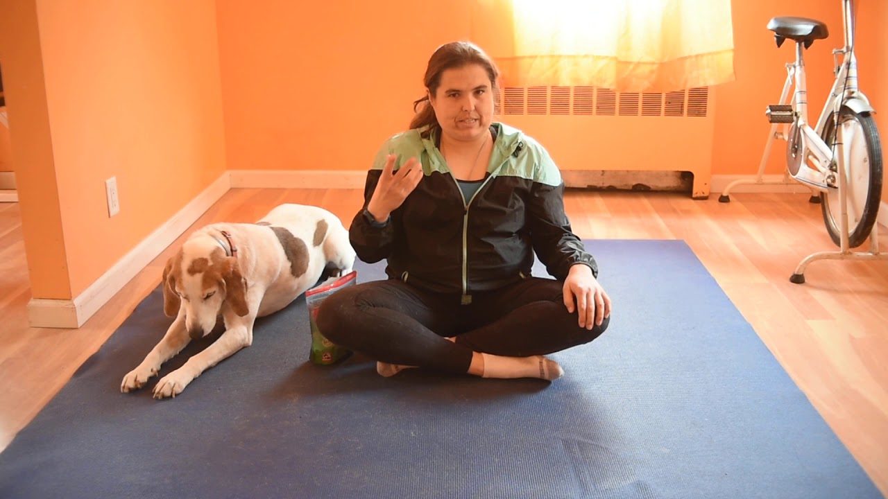 Doga Pose Study- Easy Pose and alternate nostril breathing - YouTube