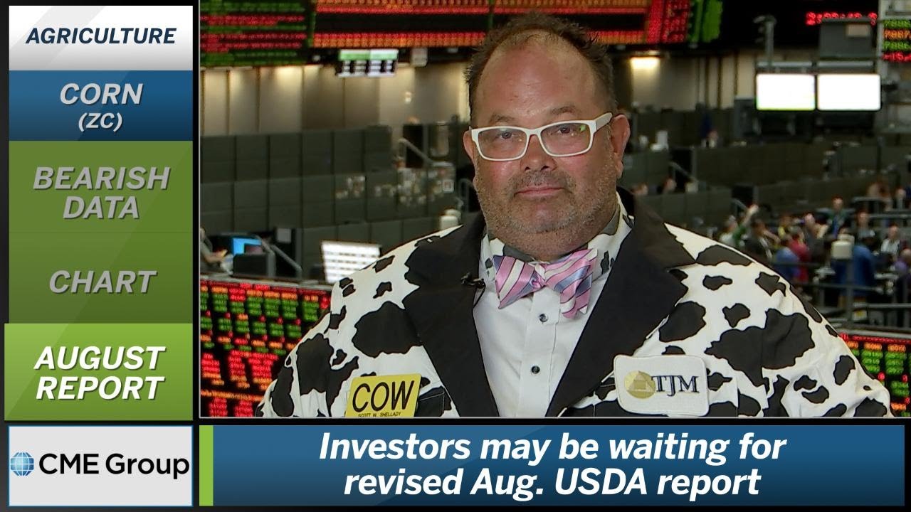July 11 Grains Commentary: Scott Shellady - YouTube