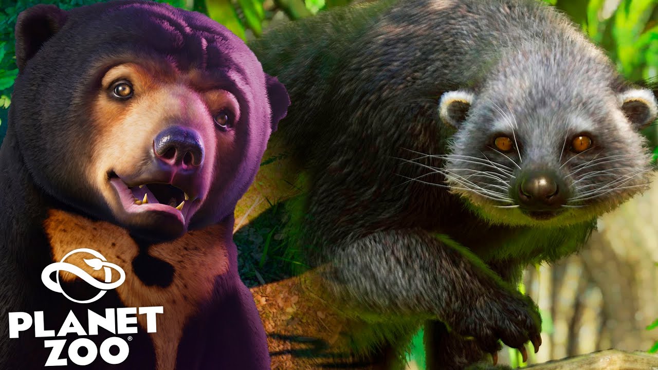 URSO DO SOL, URSO-GATO, MACACO NARIGUDO, ANTA-MALAIA EM ZOOLÓGICO ...