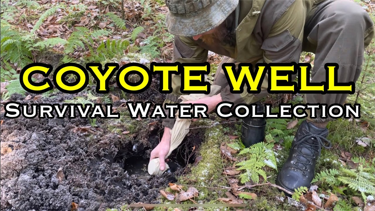 Coyote Well survival water collection tips and tricks - YouTube