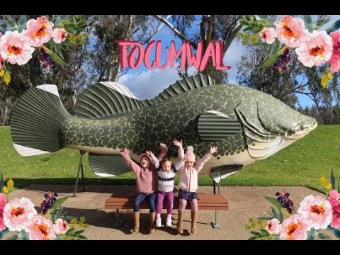 Our adventures in Tocumwal on the Murray River NSW Australia - YouTube