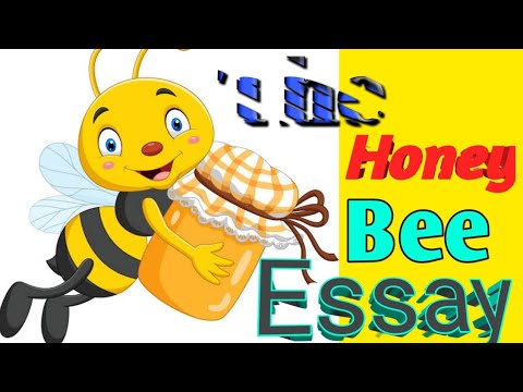 The bee essay in english | 10 lines essay on honey bee | facts about ...
