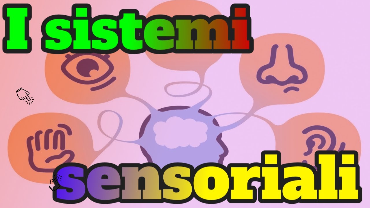 I sistemi sensoriali - YouTube