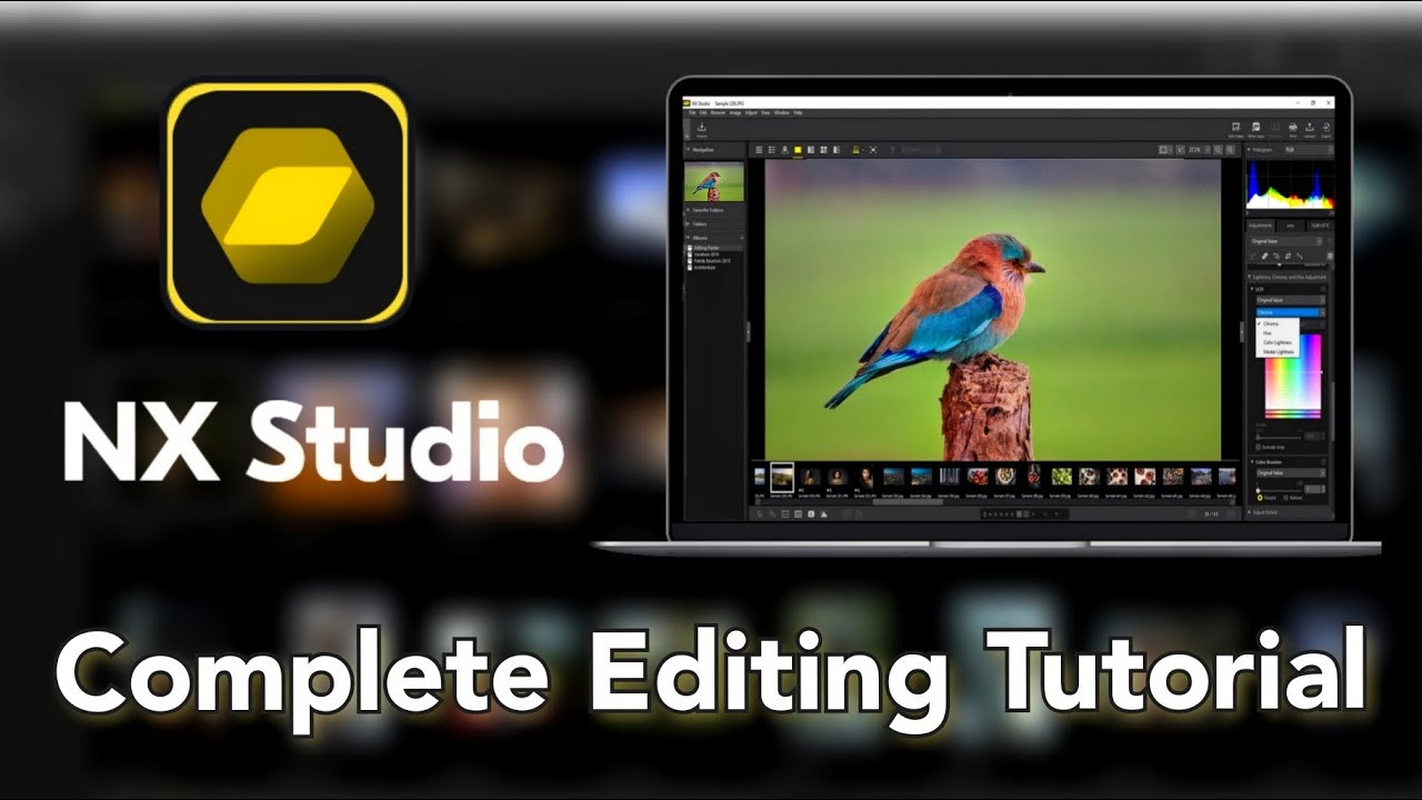 Nikon NX Studio - Post-Processing (RAW), Retouching & Movie Editing ...