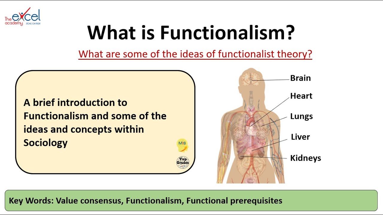 Functionalism - GCSE Sociology - YouTube