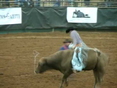 Bull Riding Silver Spurs Rodeo Kissimmee Florida - YouTube