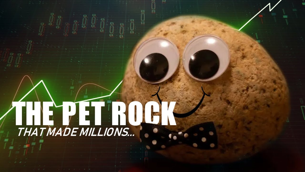 The Stupidly Genius Pet Rock Fad That Made Millions (In 5 minutes or ...