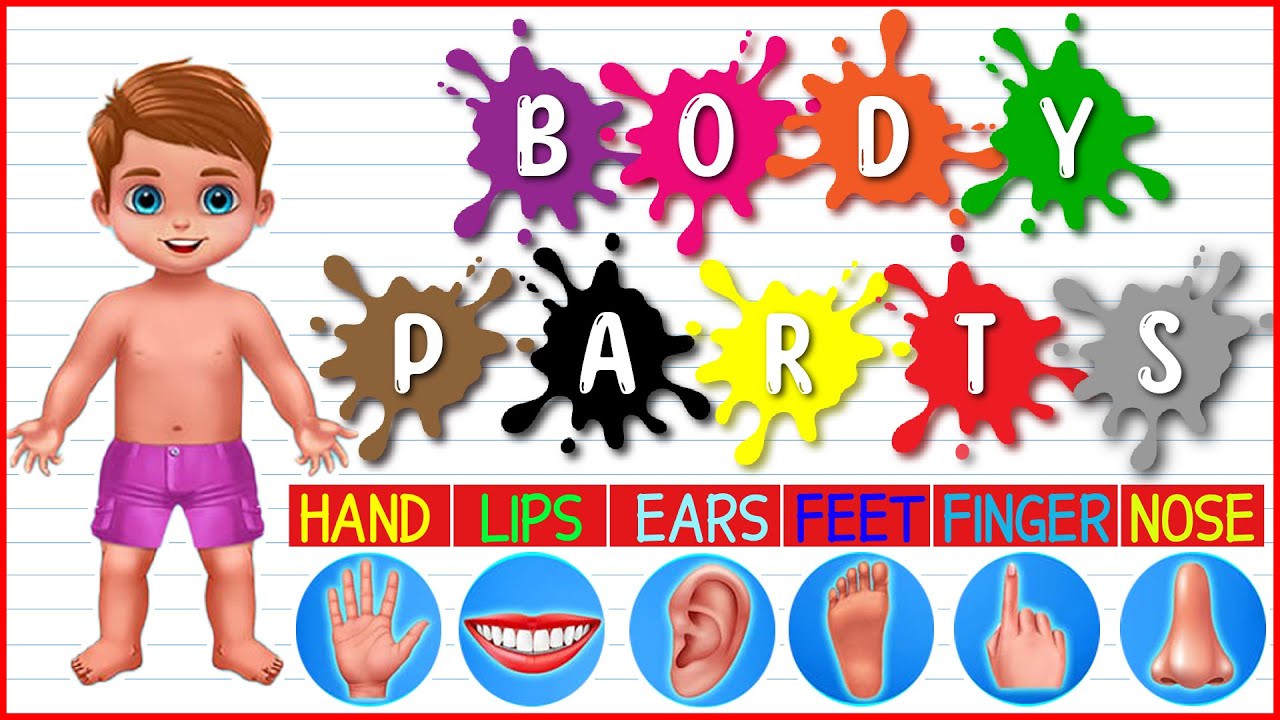 Body parts Name | English Vocabulary | vocabulary | toddler | preschool ...