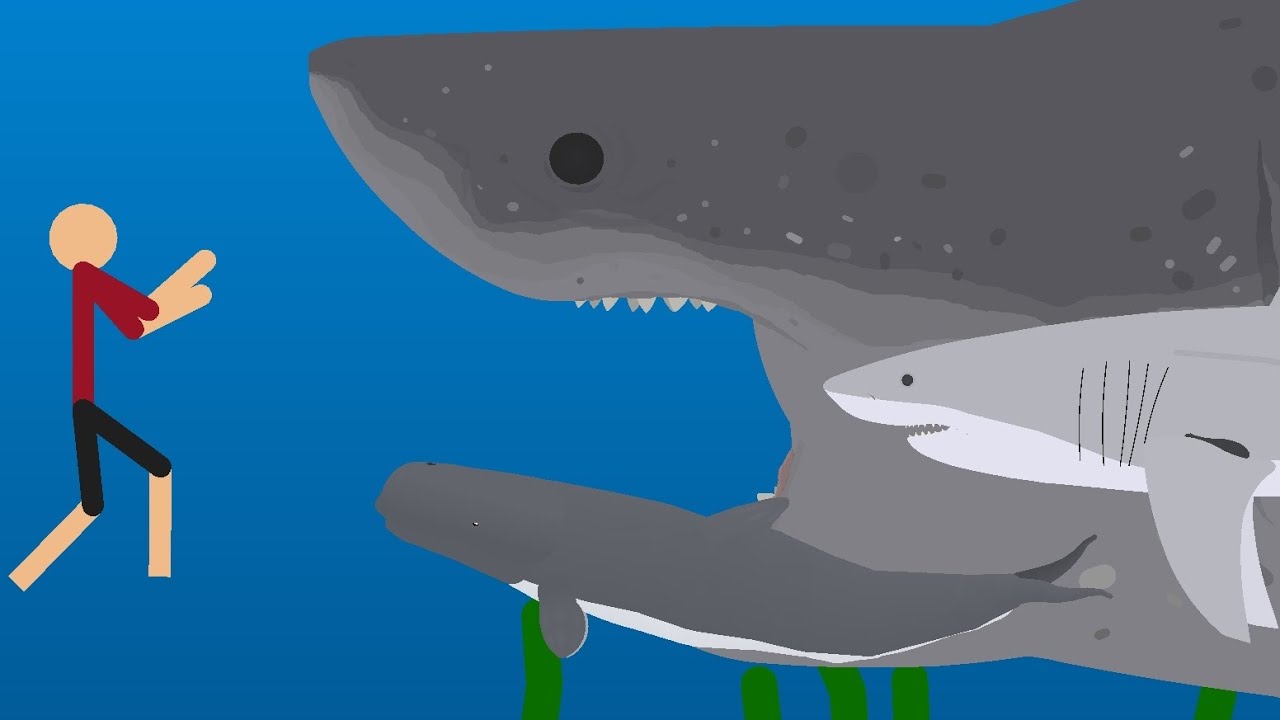 from big to GIGANTIC | large sea creature size comparison - YouTube