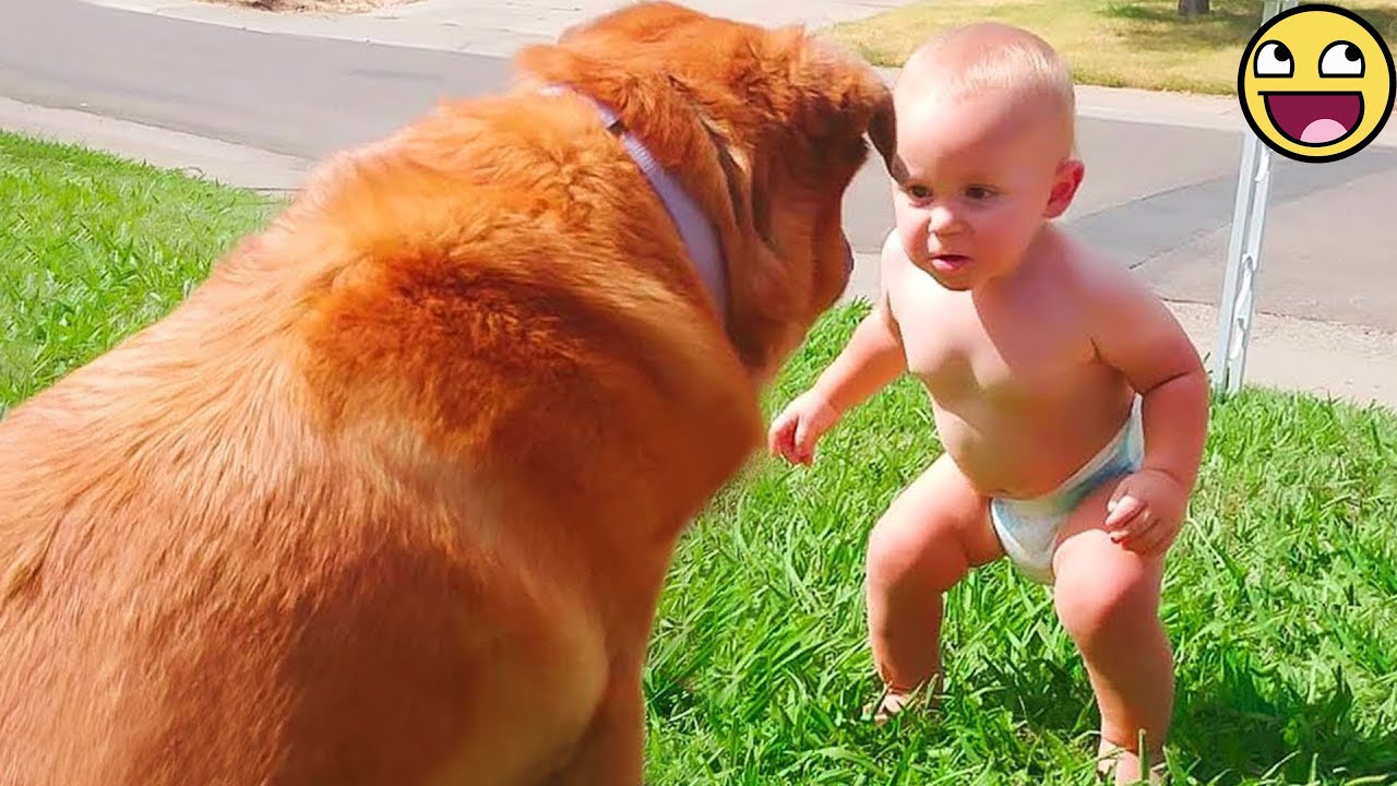 Cutest Moments Babies Meet Animals - Funny Baby and Pets Videos🥰🐑 - YouTube
