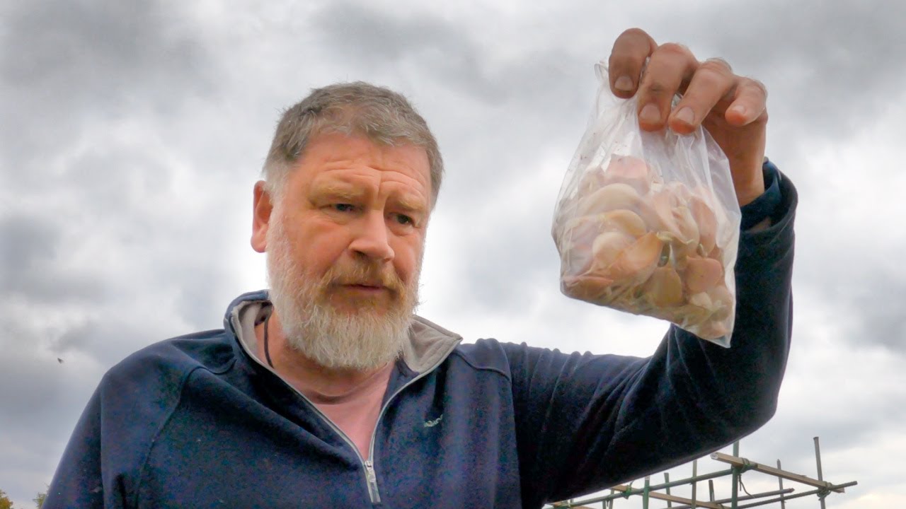 Planting Garlic Outside and Inside - YouTube