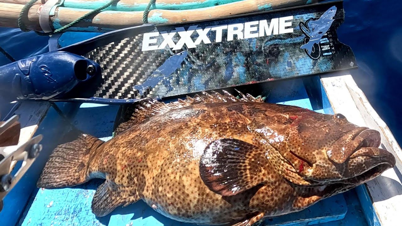 Thrilling Grouper Spearfishing Adventure in Indonesia - YouTube
