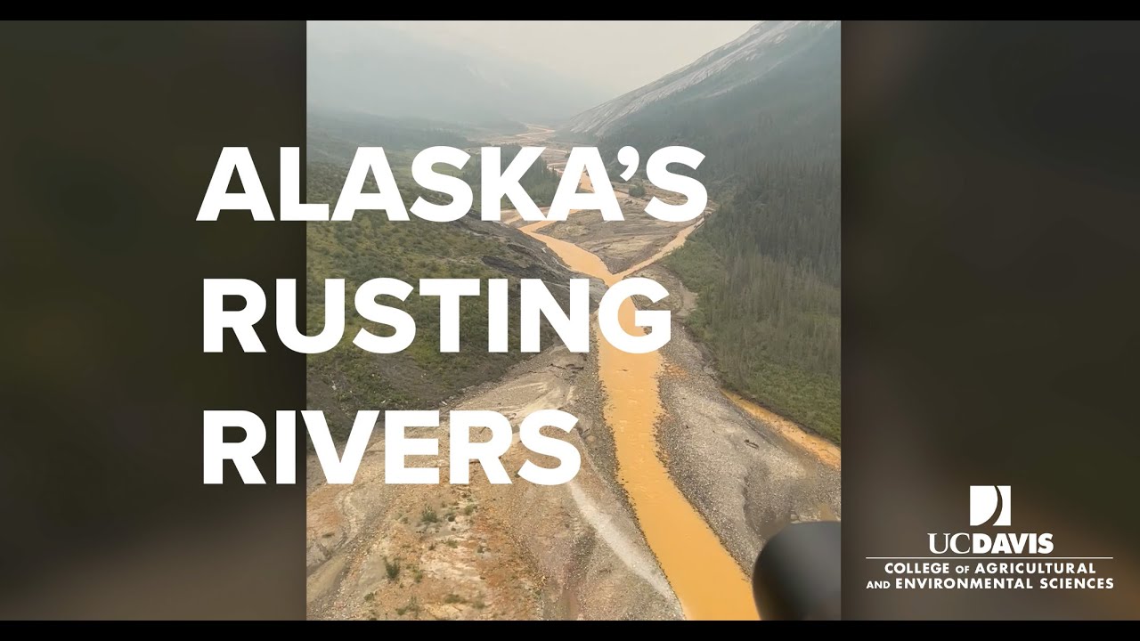 Alaska's Rusting Rivers: The Alarming Impact of Permafrost Thaw on ...