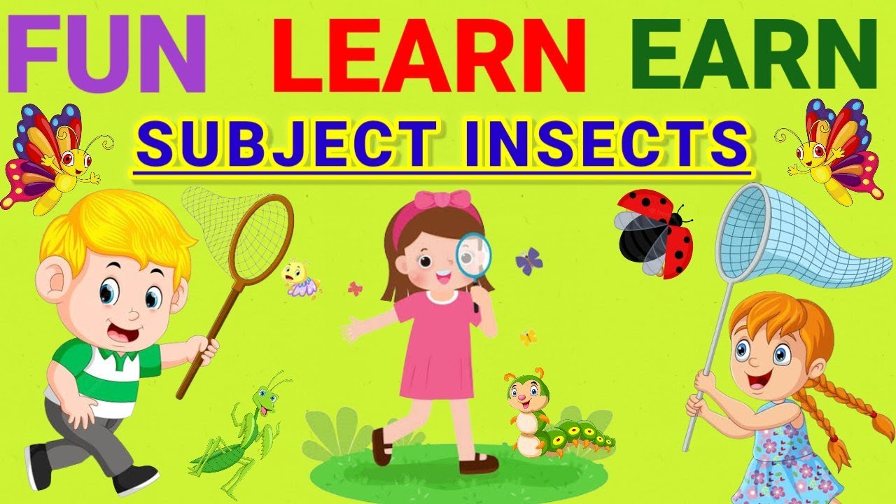 Learning video for kids| Insects | Education for kids | Names of ...