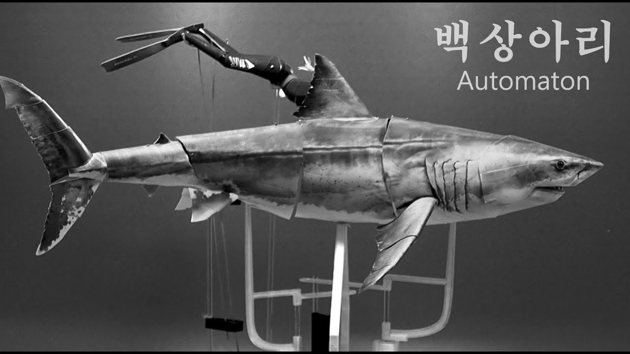 우아한 백상아리 모터 오토마타/elegant Great white shark motor automata - YouTube