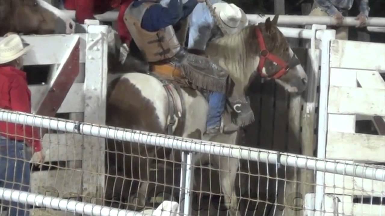 Cowtown Rodeo Horses Sent to Slaughter - YouTube