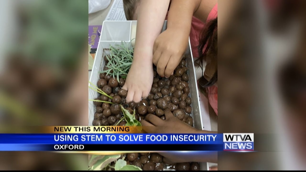 Ole Miss professor solves food insecurity with STEM - YouTube