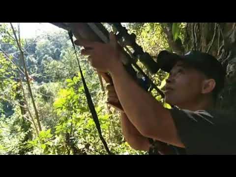 yos hav zoov tua noog noj txiv coob heev - YouTube