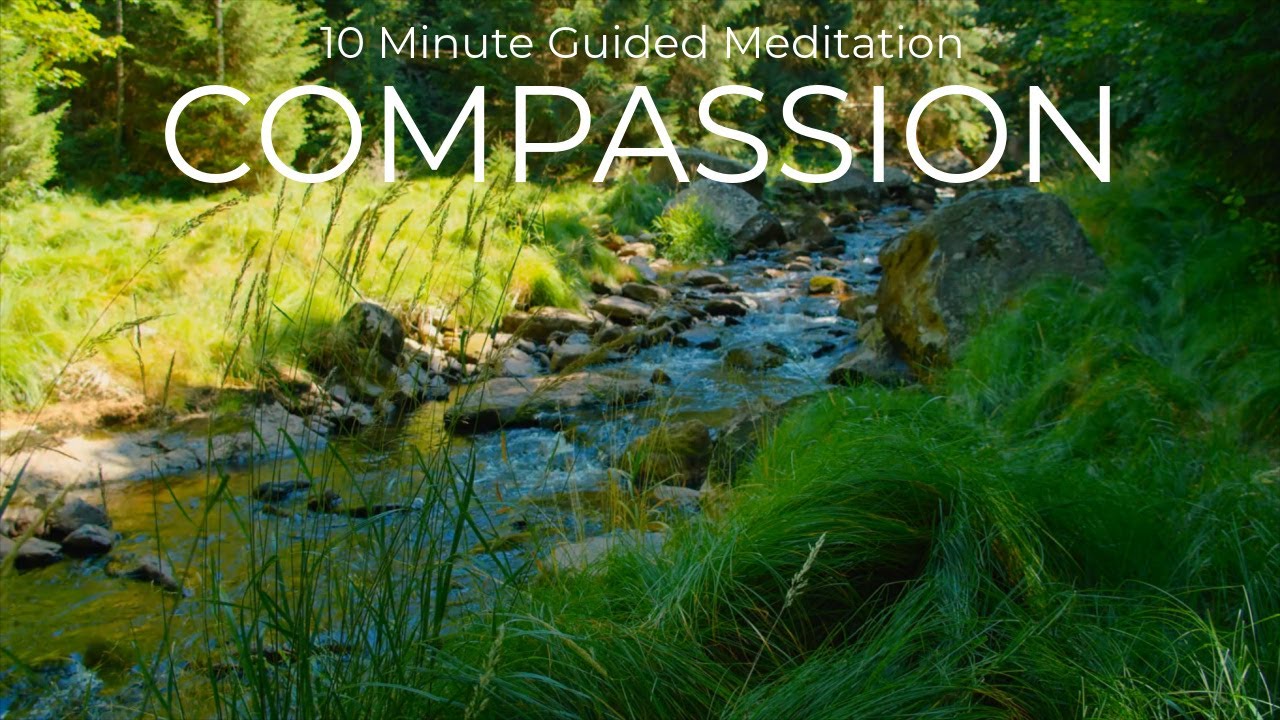 10 Minute Guided Compassion Meditation with Nature Sounds - YouTube