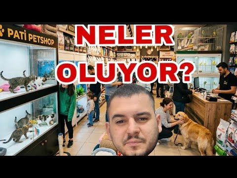 PET SHOPDA NELER OLUYOR