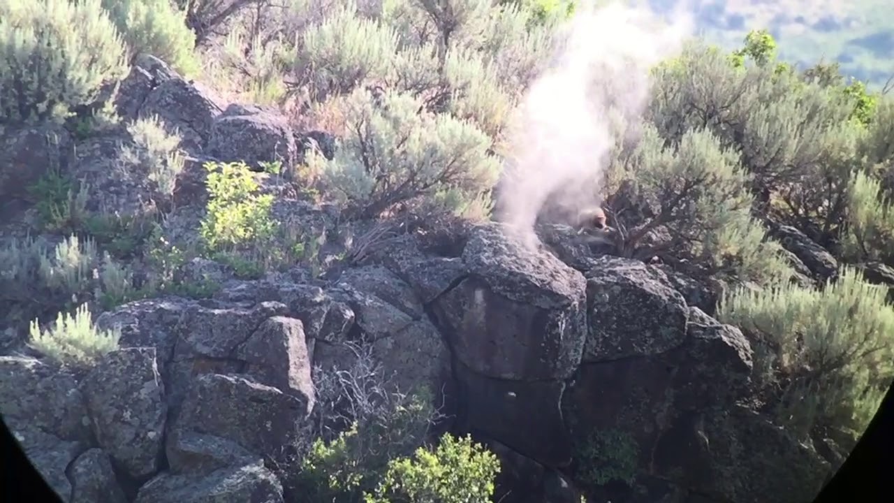 Rock Chuck 10 kills slow motion with .22 creedmoor - YouTube