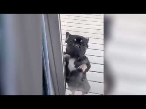 Beach Bunny - Prom queen(30 Minutes Version)