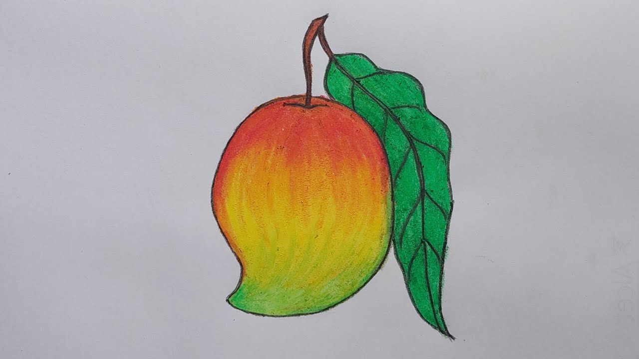 Mango drawing & coloring || how to draw mango fruit. - YouTube