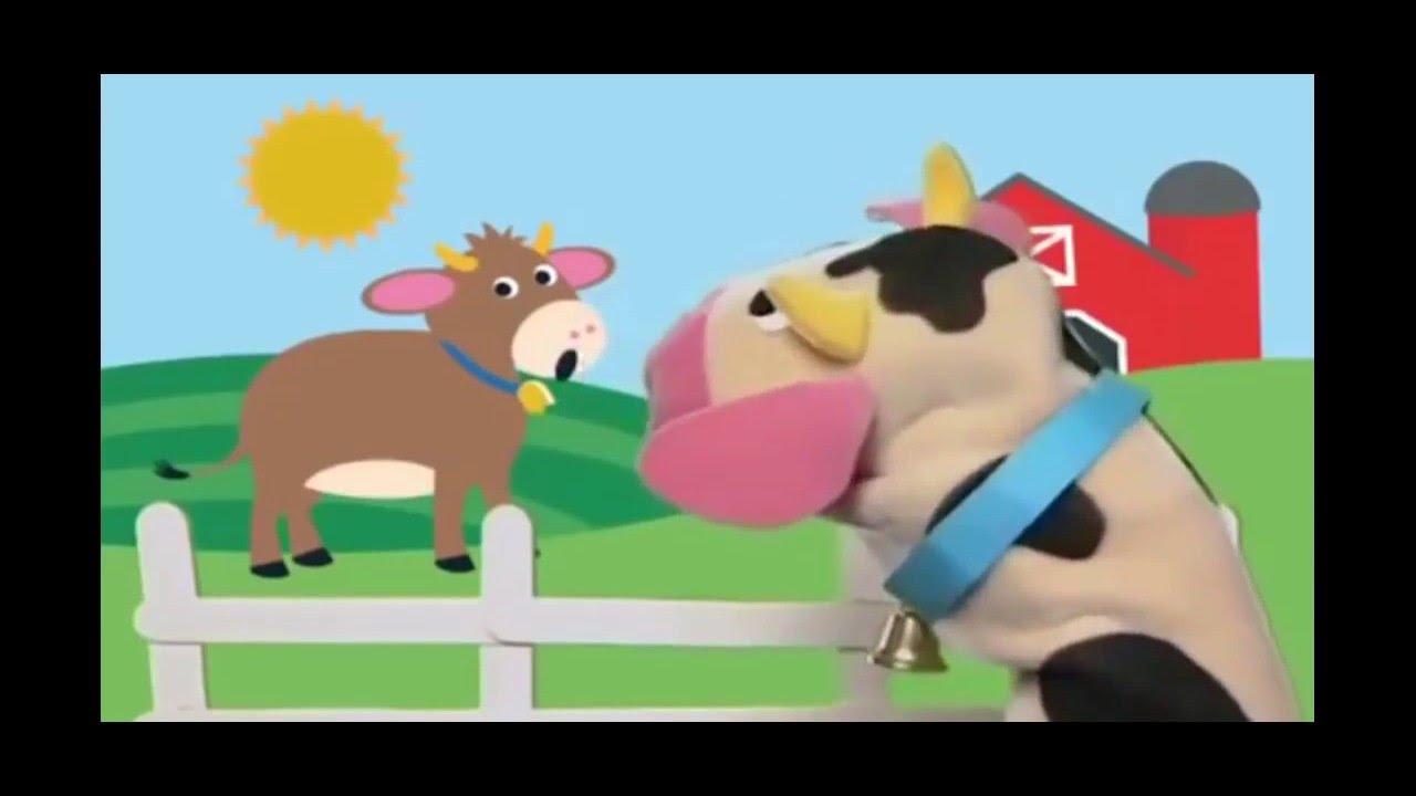 Baby Video 2016 - Baby Einstein 2016 - Baby Einstein Videos with New ...