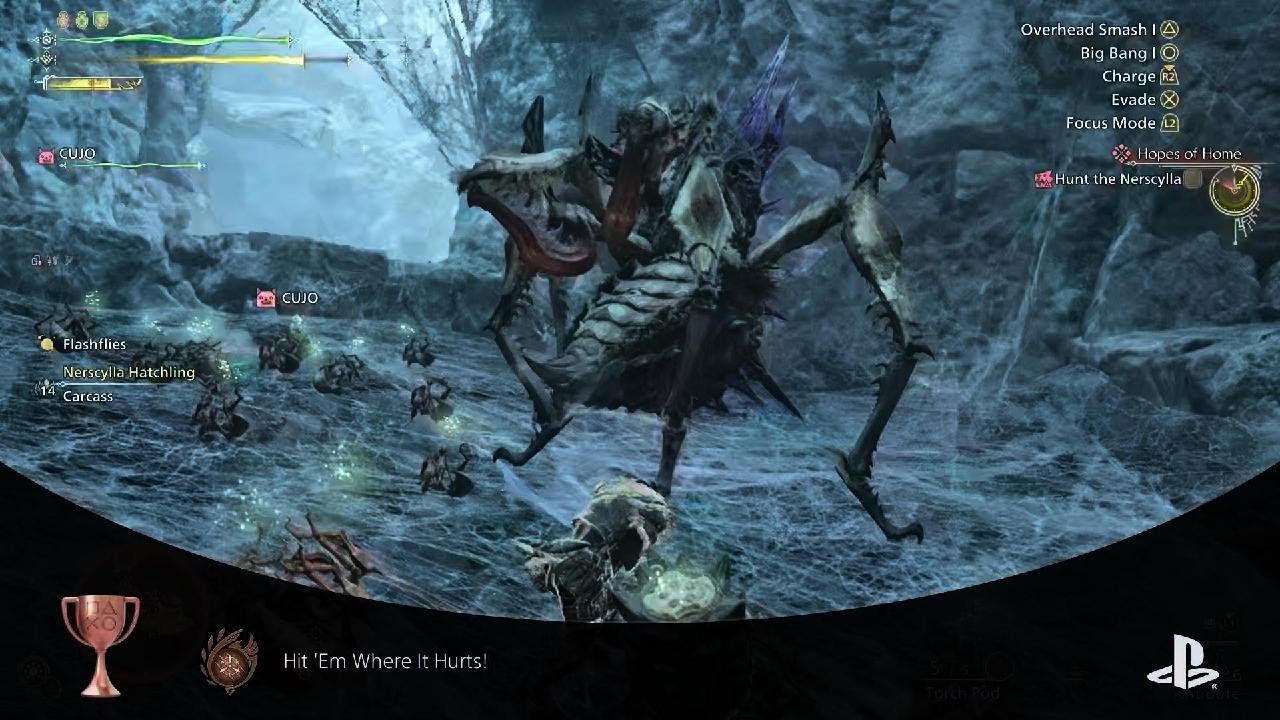 Monster Hunter Wilds Spider - YouTube