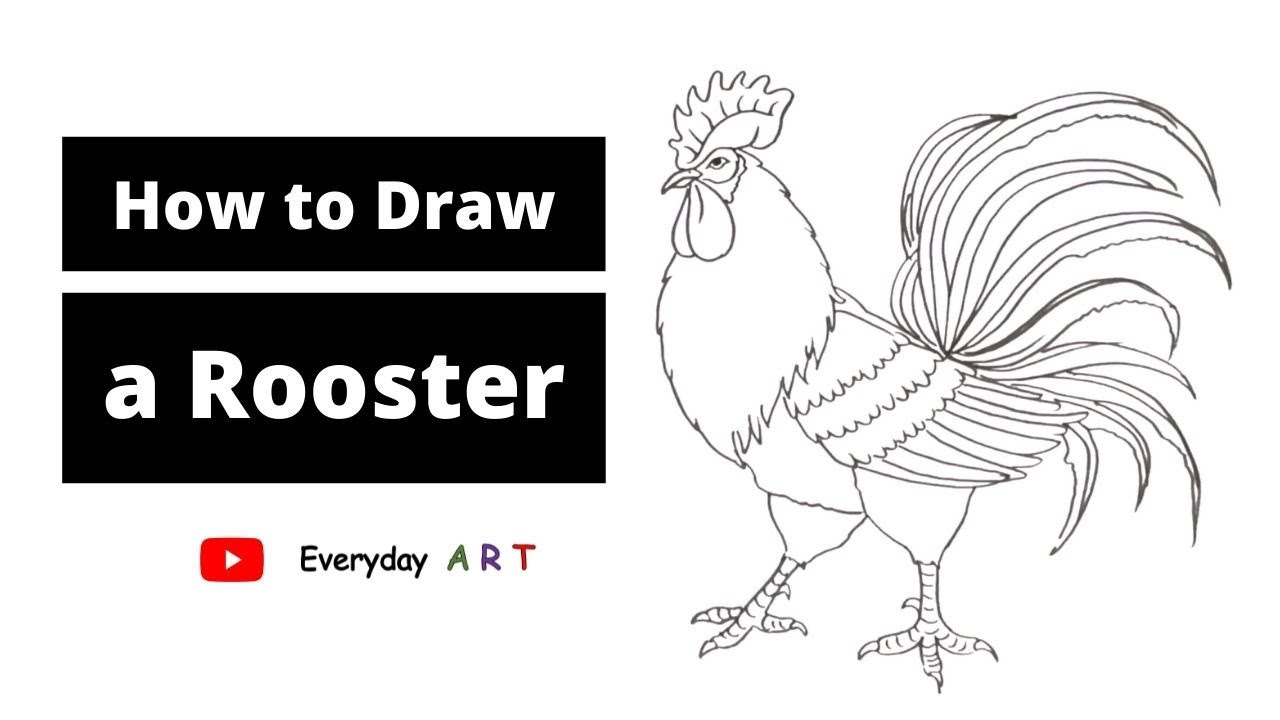 Art 040 - How to Draw a Rooster - Easy Tutorial and Simple Drawing 2021 ...