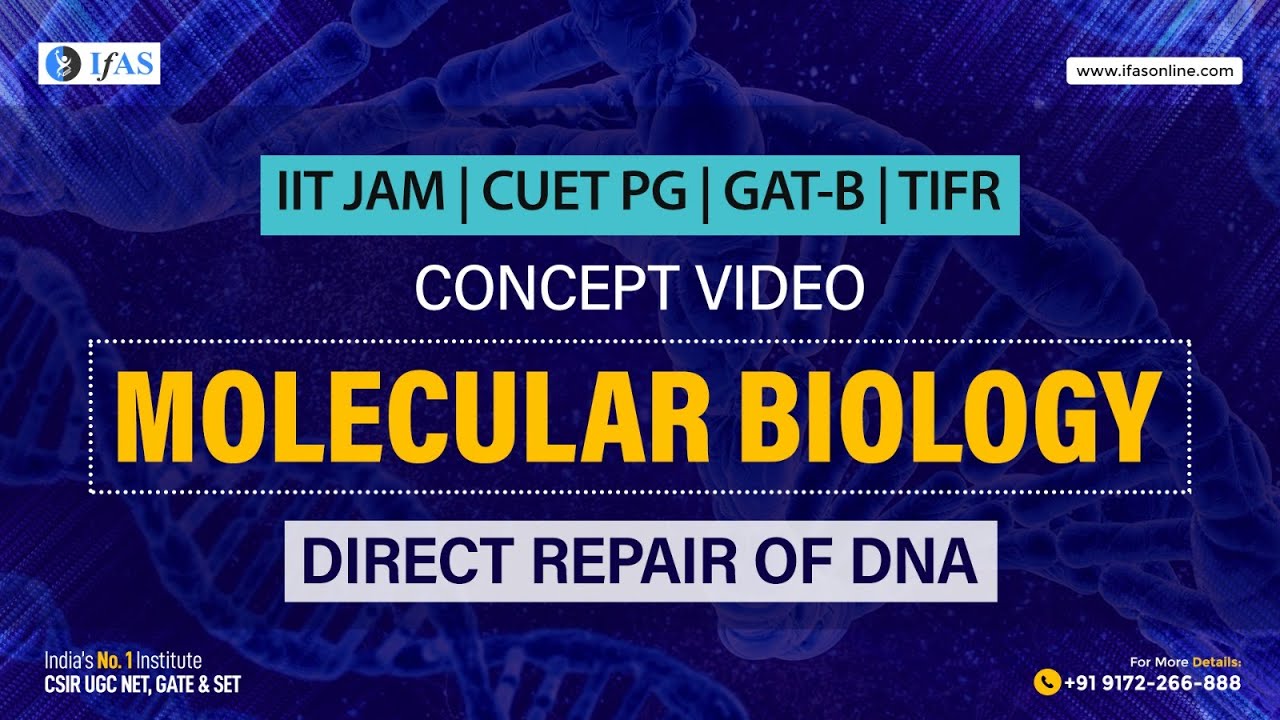 Direct Repair of DNA || MOLECULAR BIOLOGY || IFAS - YouTube