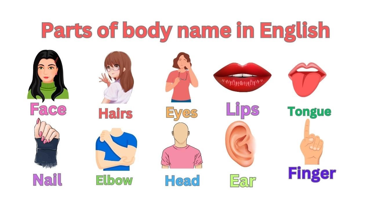 Learn parts of body for kids | Face, Eyes, Nose, Ear, Lips & Mouth # ...
