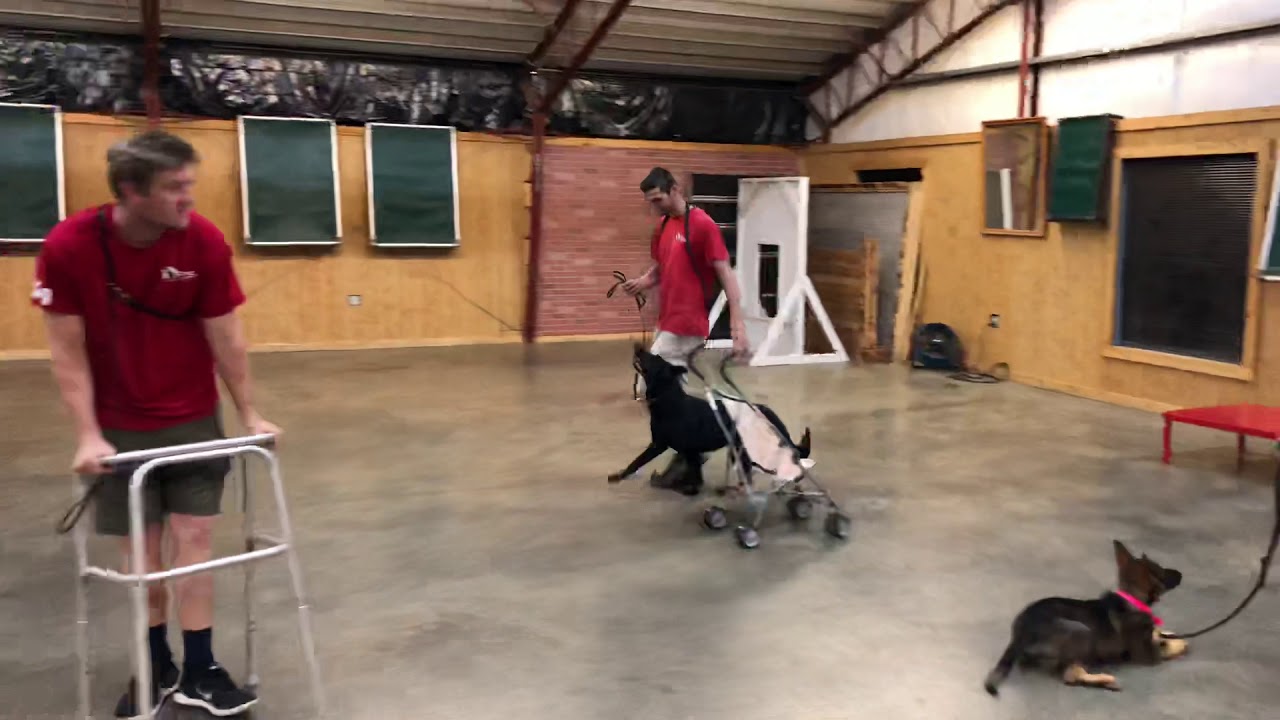 Behind The Scenes Life Skills Training & Development In Action "Holly ...