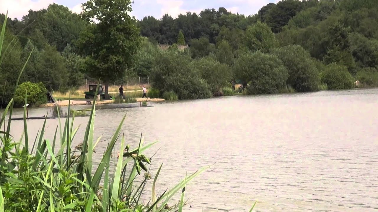 WHITEVANE CARP FISHERY, HORSHAM, WEST SUSSEX - YouTube