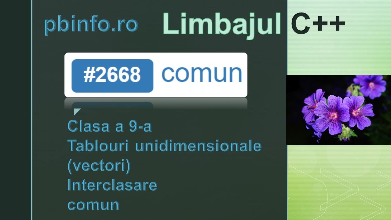 Limbajul C++, problema #2668 COMUN de pe pbinfo.ro - YouTube