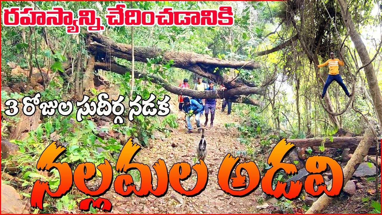 Nallamala forest. nallamala forest temples. secrit temples in nallamala ...
