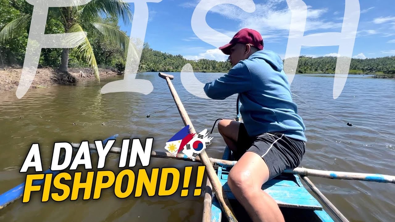A DAY IN THE FISHPOND( FIRST TIME MANLAMBAT)‼️ ️ - YouTube