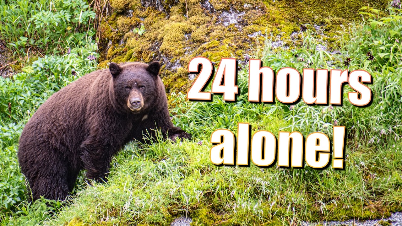 We spent 24 hours hiking alone in the Alaskan wilderness! Backcountry ...