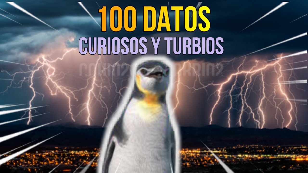 100 DATOS CURIOSOS del Mundo🐧 - YouTube