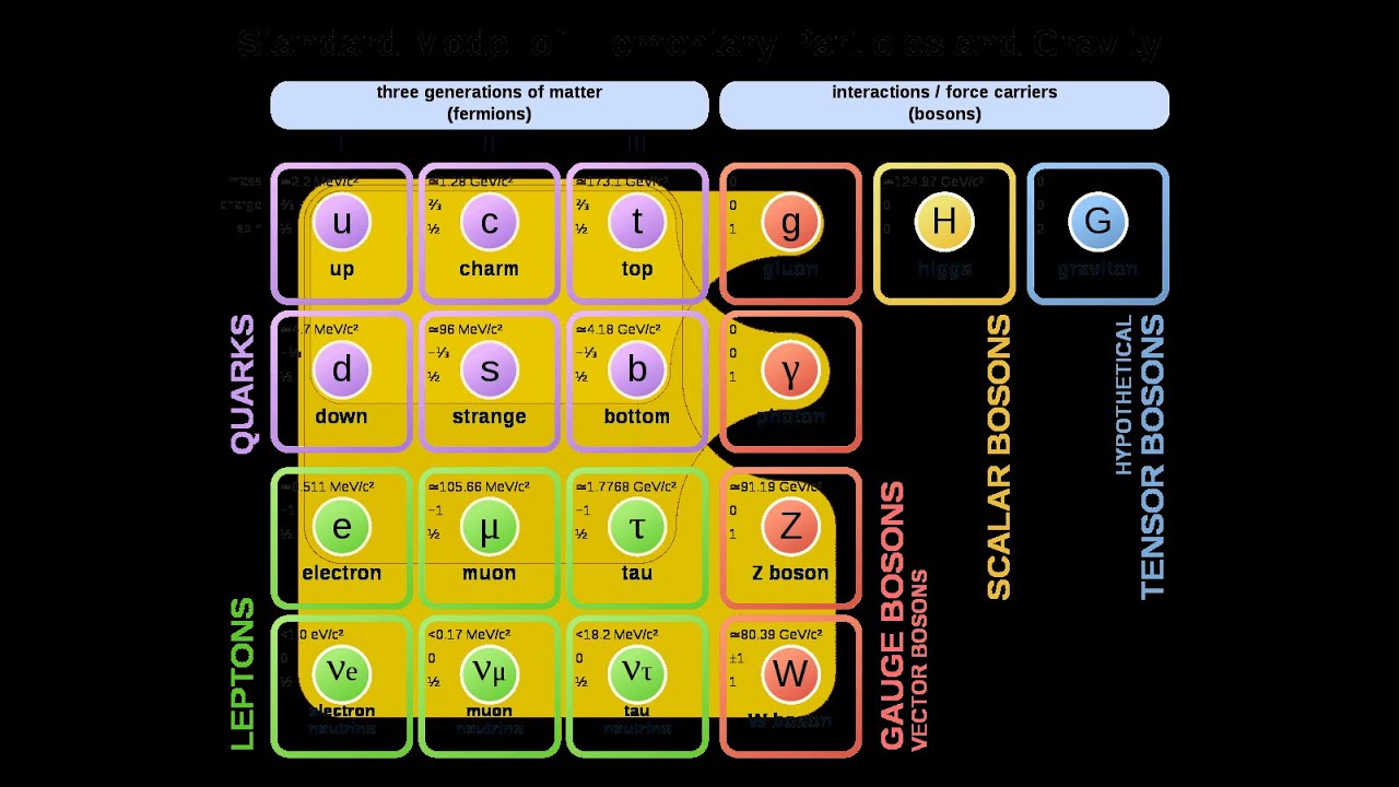 Fermions, Bosons and Leptons. - YouTube
