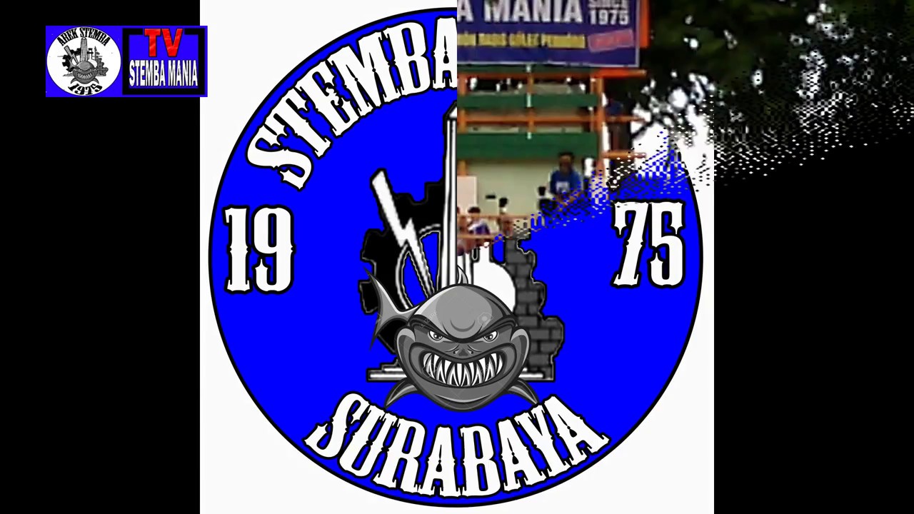 STEMBA MANIA SI BOLANG @G10N - YouTube