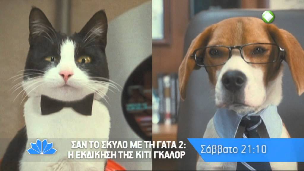 ΣΑΝ ΤΟ ΣΚΥΛΟ ΜΕ ΤΗ ΓΑΤΑ 2 Η ΕΚΔΙΚΗΣΗ ΤΗΣ ΚΙΤΙ ΓΚΑΛΟΡ - trailer - YouTube