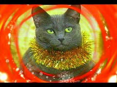 Jingle cat - YouTube