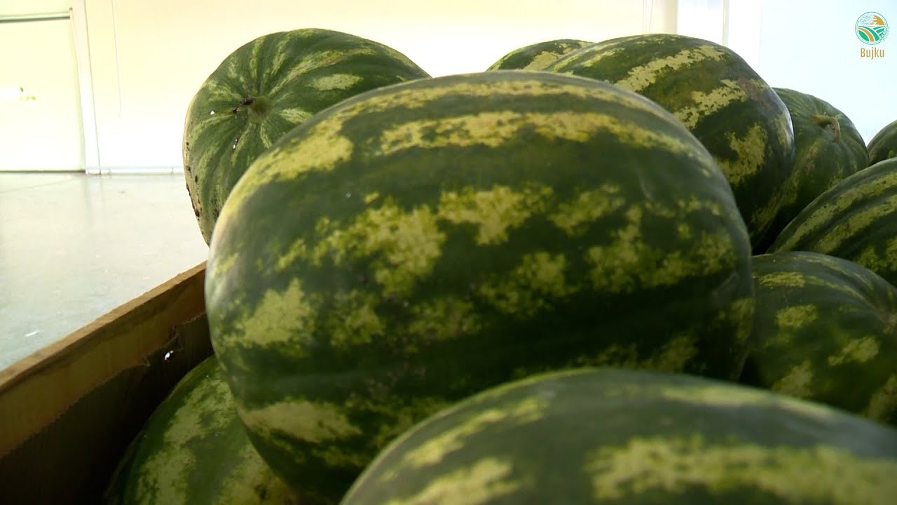 BUJKU - Një shembull, që flet, si duhet të ndihmohet bujku, kur ...