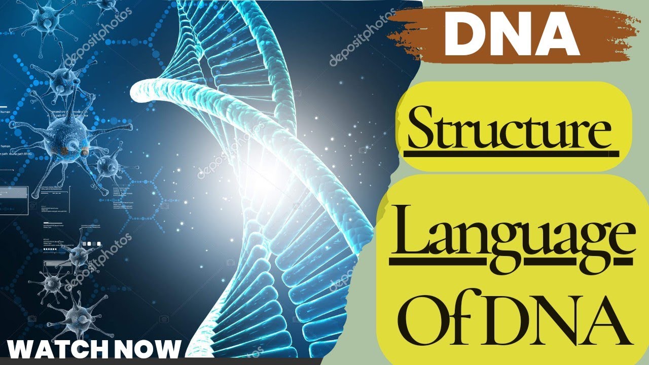DNA-Deoxyribo Nucleic Acid । Structure & Language । Science &Technology ...
