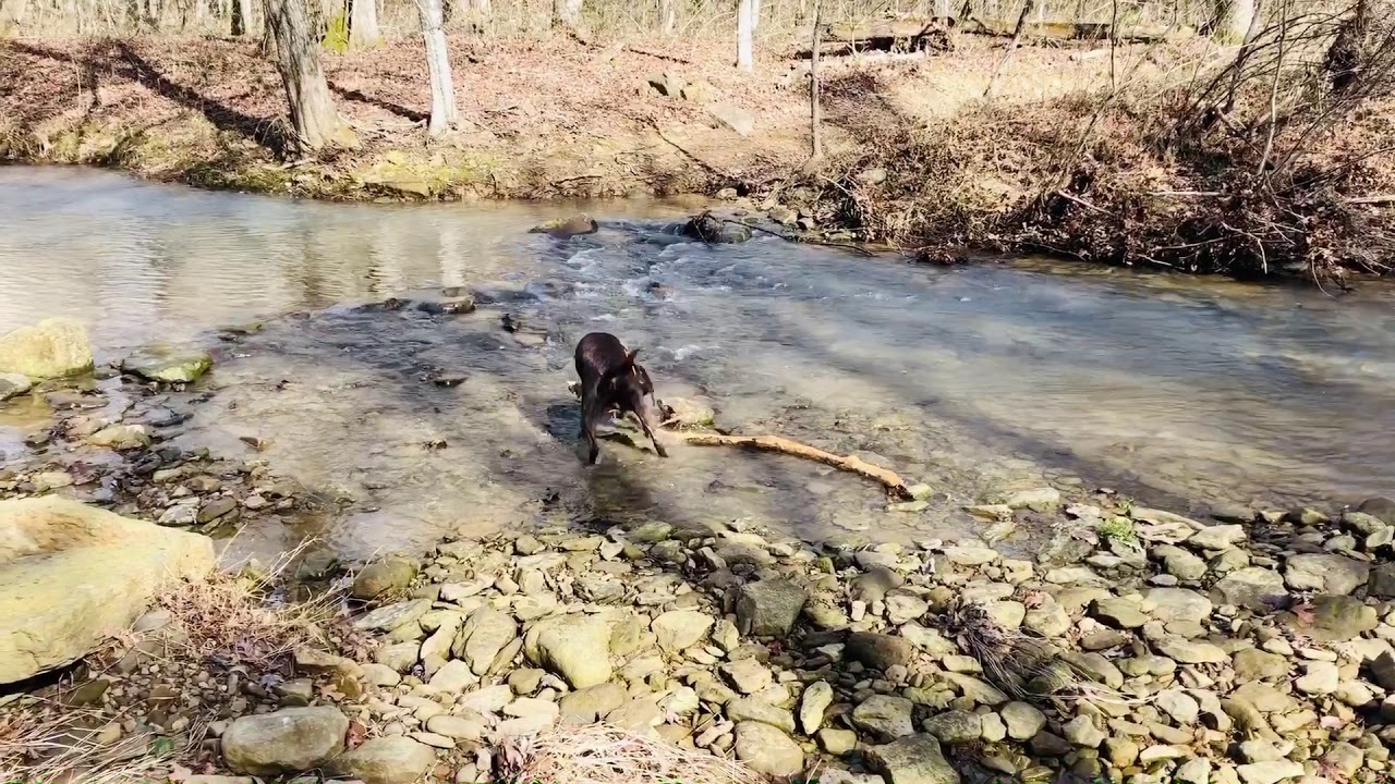 Falls #86 And Leeds on a Ride! - YouTube