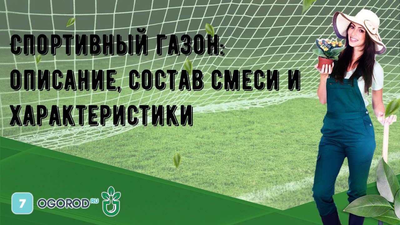 Спортивный газон: описание, состав смеси и характеристики - YouTube